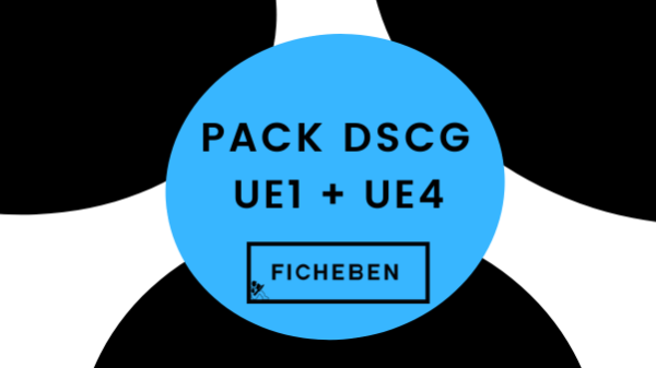 PACK FORMATION DSCG UE1+UE4 - FICHEBEN FORMATIONS